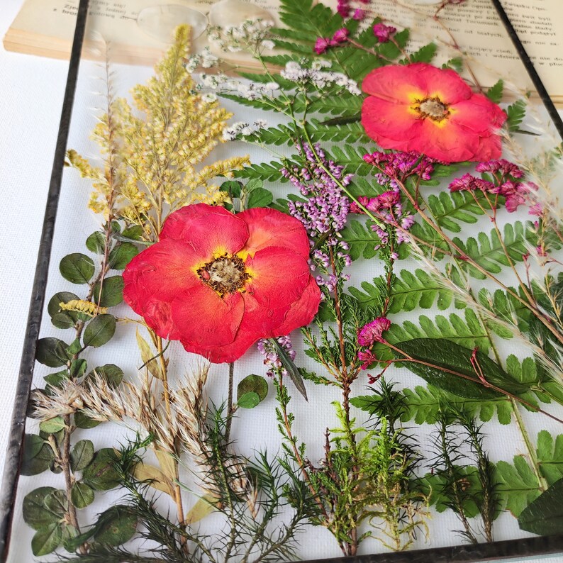 Large Pressed Flower Frame Wall Decor Botanical Art Pressed - Etsy