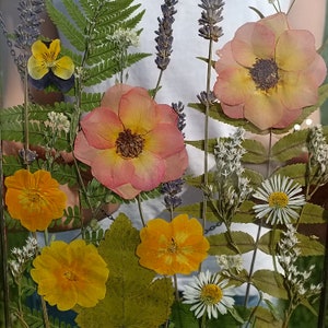 Wall Decor, Botanical Art, Pressed Flower Art, Real Dried Flowers ...