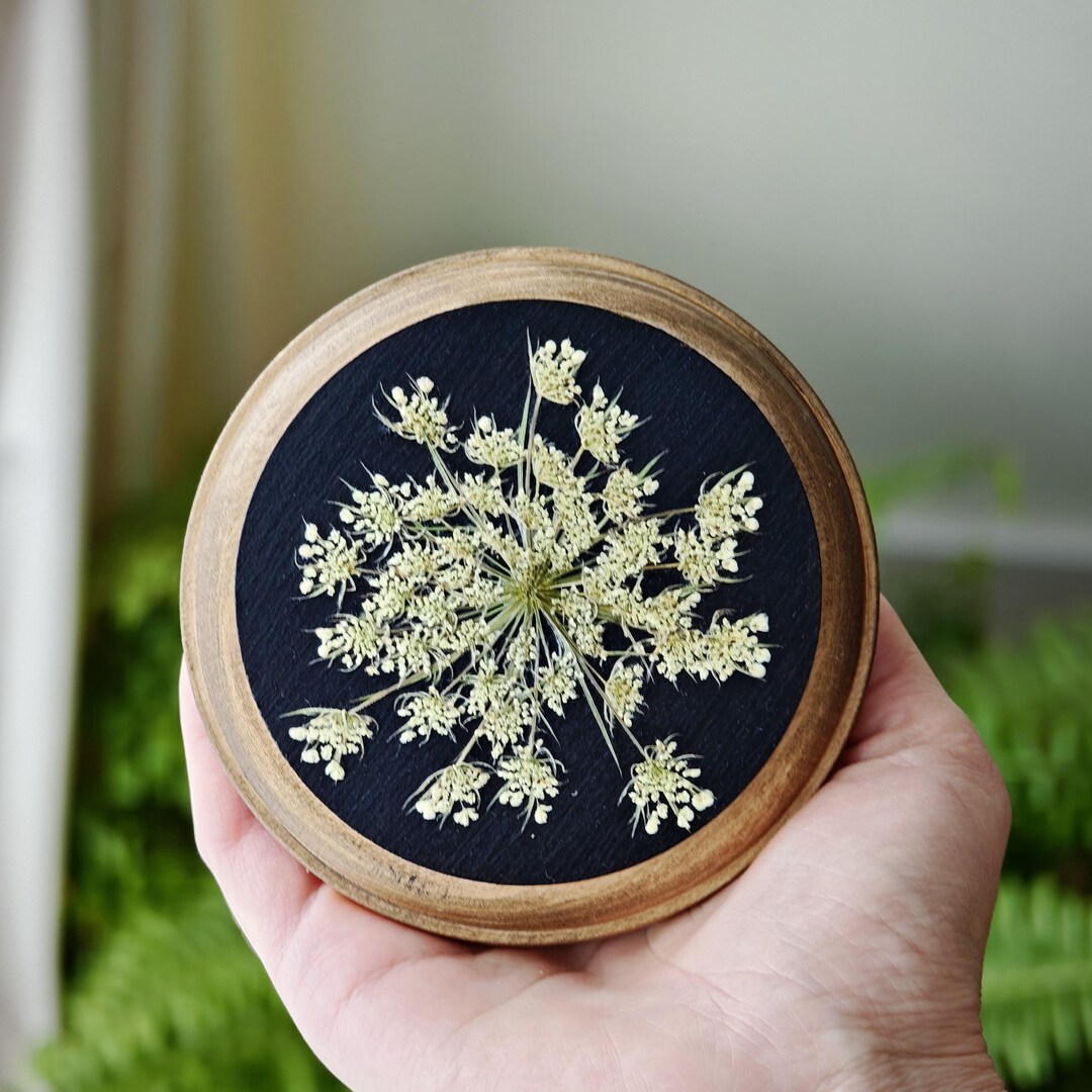 Round Botanical Frame, Real Dried Queen Annes Lace - Etsy