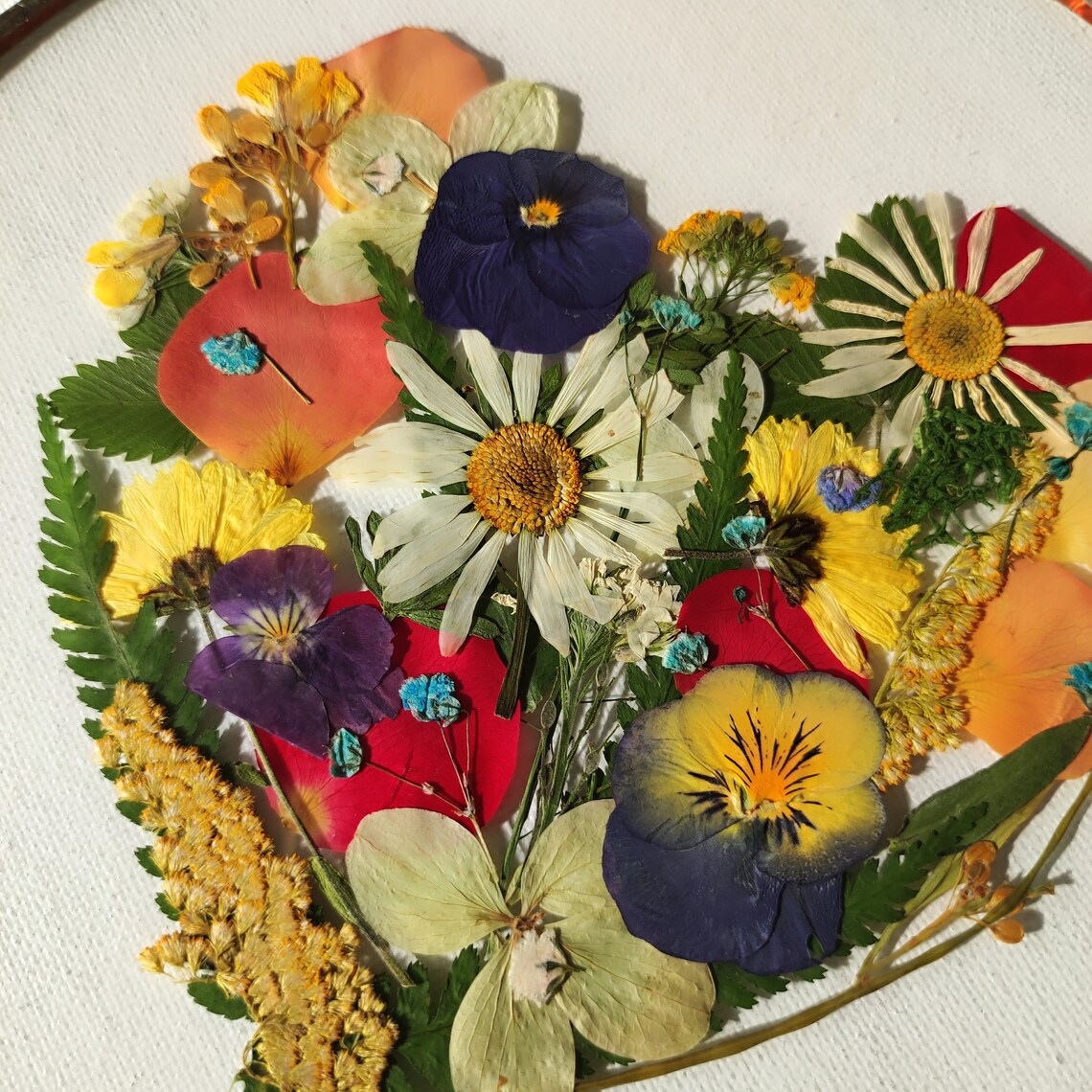 Large Pressed Flower Frame Wall Decor Botanical Art Pressed - Etsy