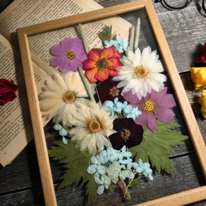 Original Artwork Real Flower in Frame, Botanical Art, Large Pressed ...