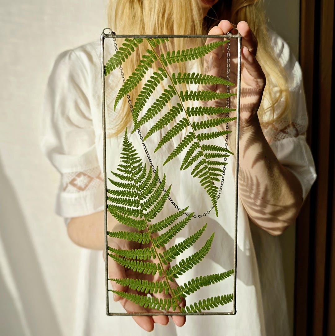 Stained Glass Pressed Fern Frame: Botanical Wall Art - Etsy