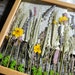 Large Pressed Flower Frame. Original Artwork Real Wildflower in Frame ...