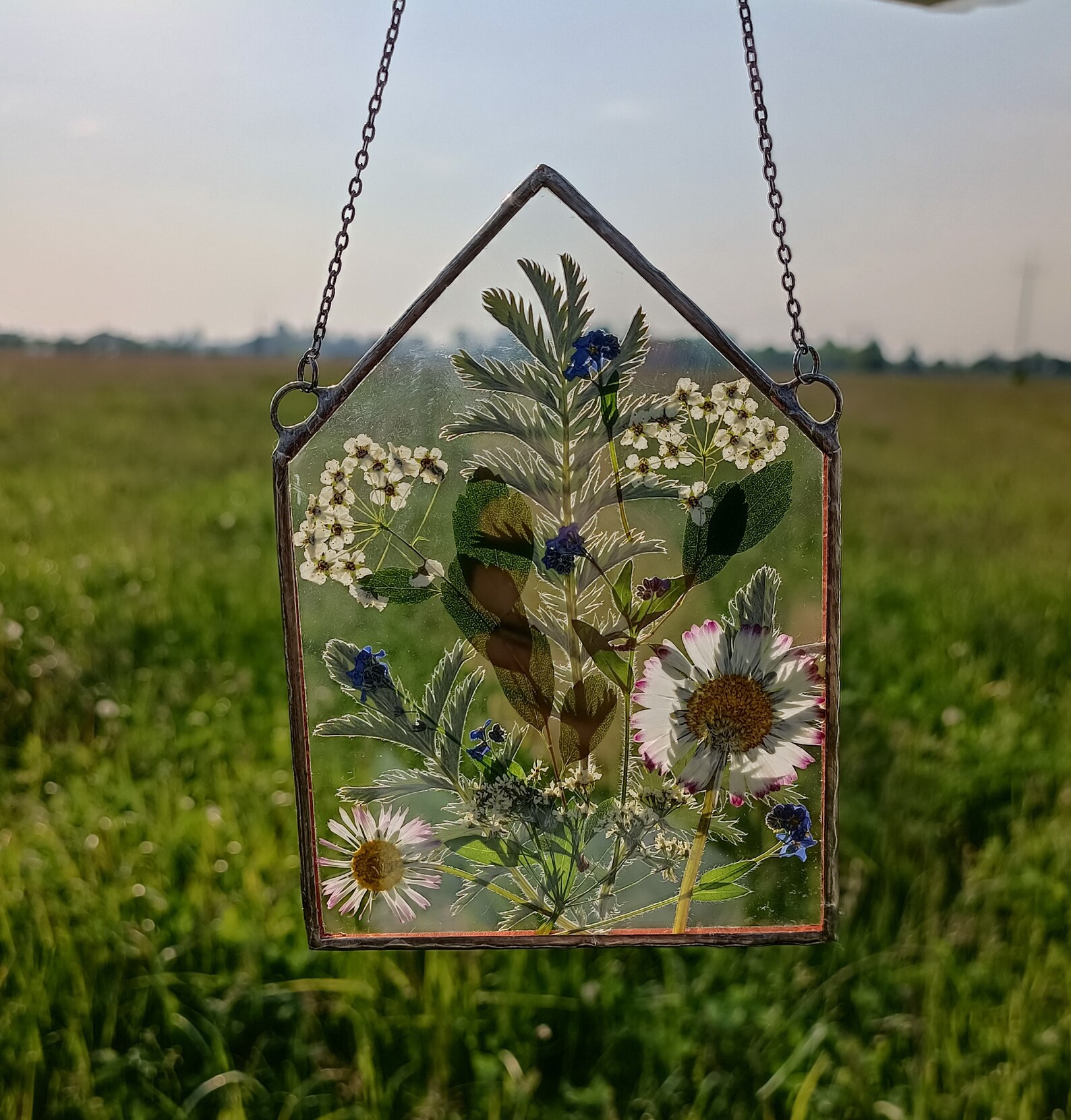 Set of 3 Pressed Flower Frame, Real Lavender, Botanical Dried Pressed ...