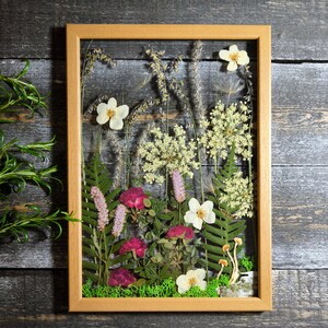 Original Artwork Real Flower in Frame, Botanical Art, Large Pressed ...