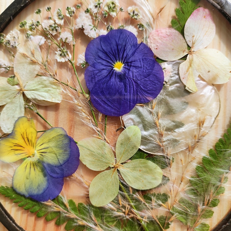 Botanical Dried Pressed Flower Frame Hanging Wall Art - Etsy