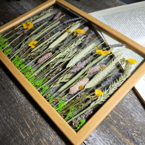 Large Pressed Flower Frame. Original Artwork Real Wildflower in Frame ...