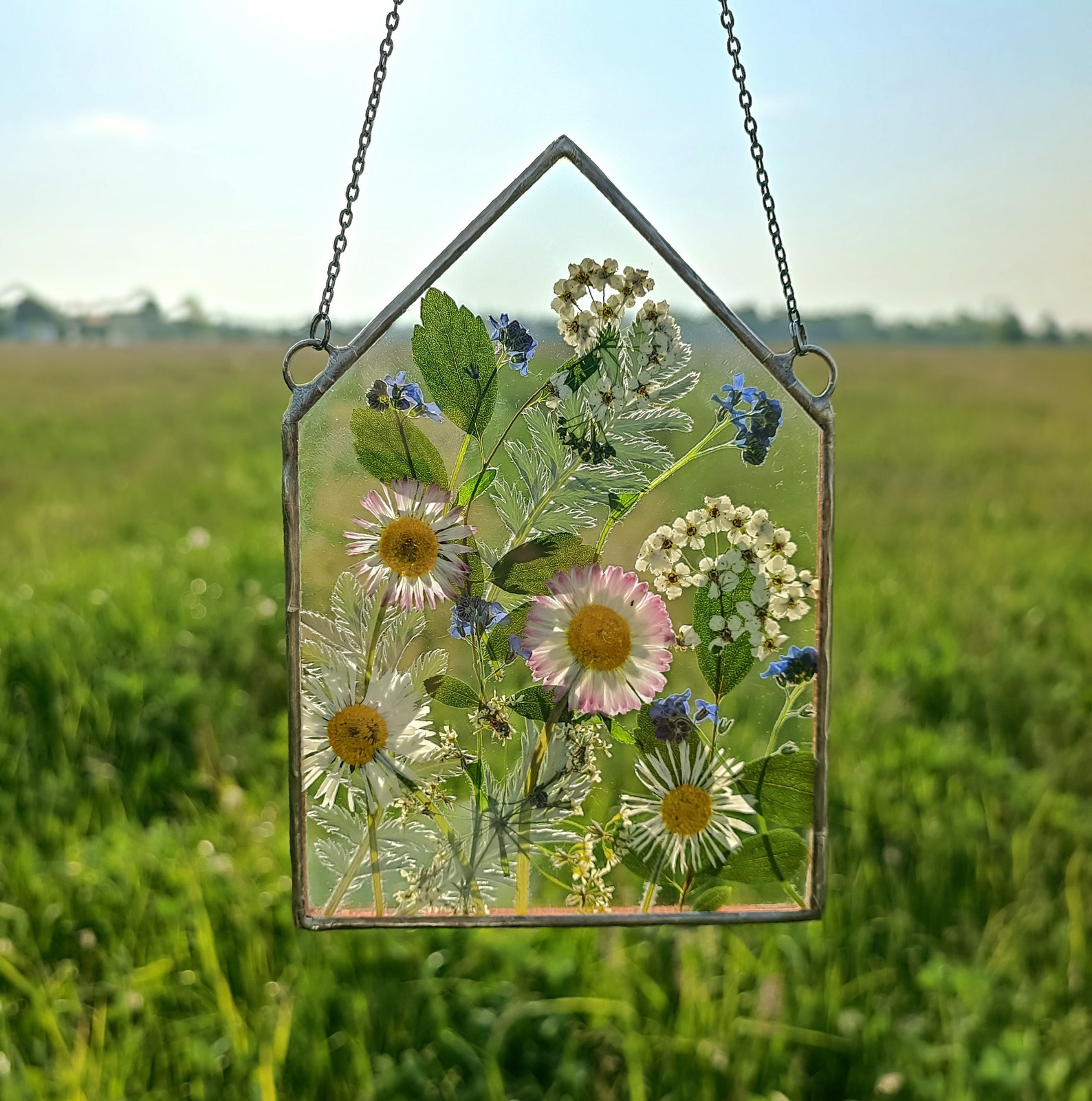 Set of 3 Pressed Flower Frame, Real Lavender, Botanical Dried Pressed ...