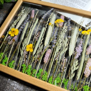 Large Pressed Flower Frame. Original Artwork Real Wildflower in Frame ...