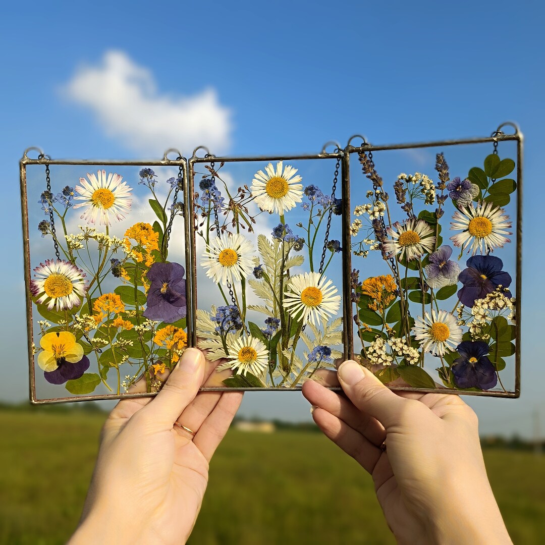 Set of 3 Pressed Flower Frame, Real Lavender, Botanical Dried Pressed ...