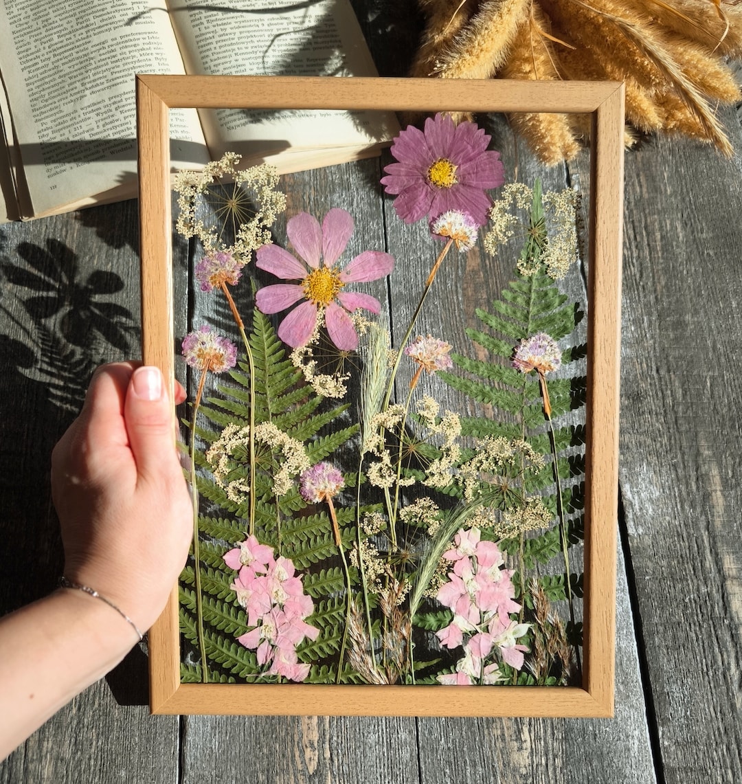 Original Artwork Real Flower in Frame, Botanical Art, Large Pressed ...