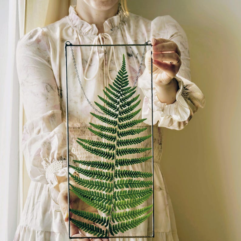Dried Fern in Large Stained Glass Frame, Pressed Flower Art, Botanical ...