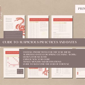 2025 Year of the Snake Fortune Feng Shui Guide – Chinese Zodiac ...