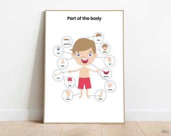Kids Human Body Poster - Etsy