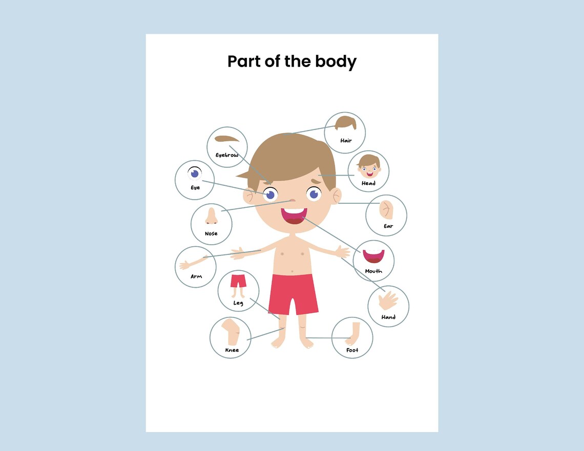 Body Parts for Kids, Body Parts Poster, Human Body for Preschoolers ...
