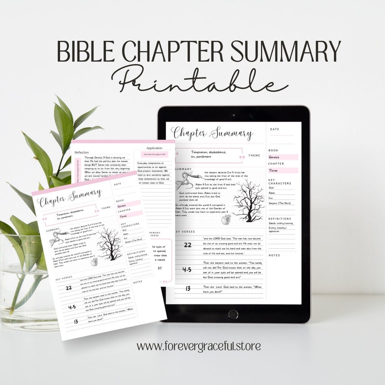 Bible Chapter Summary Printable Template - Etsy
