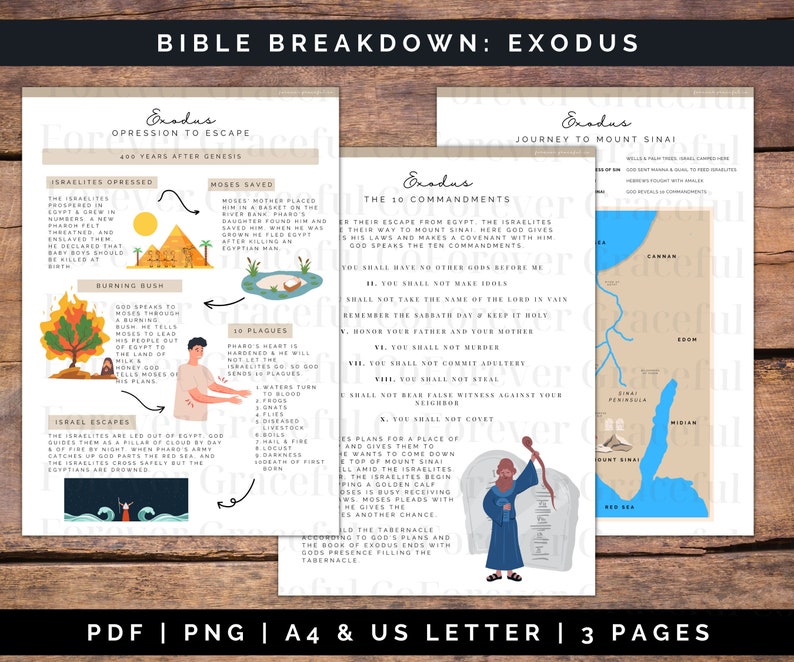 Exodus Bible Breakdown Printable - Etsy