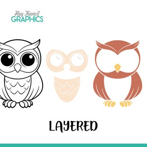Cute Owl Svg, Baby Owl Svg, Cute Owl Sublimation, Owl Png, Owl Clipart ...
