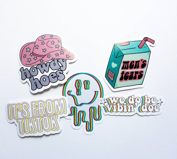 Aesthetic Sticker Pack Of 5 Popular Girl Pack Waterproof - Etsy