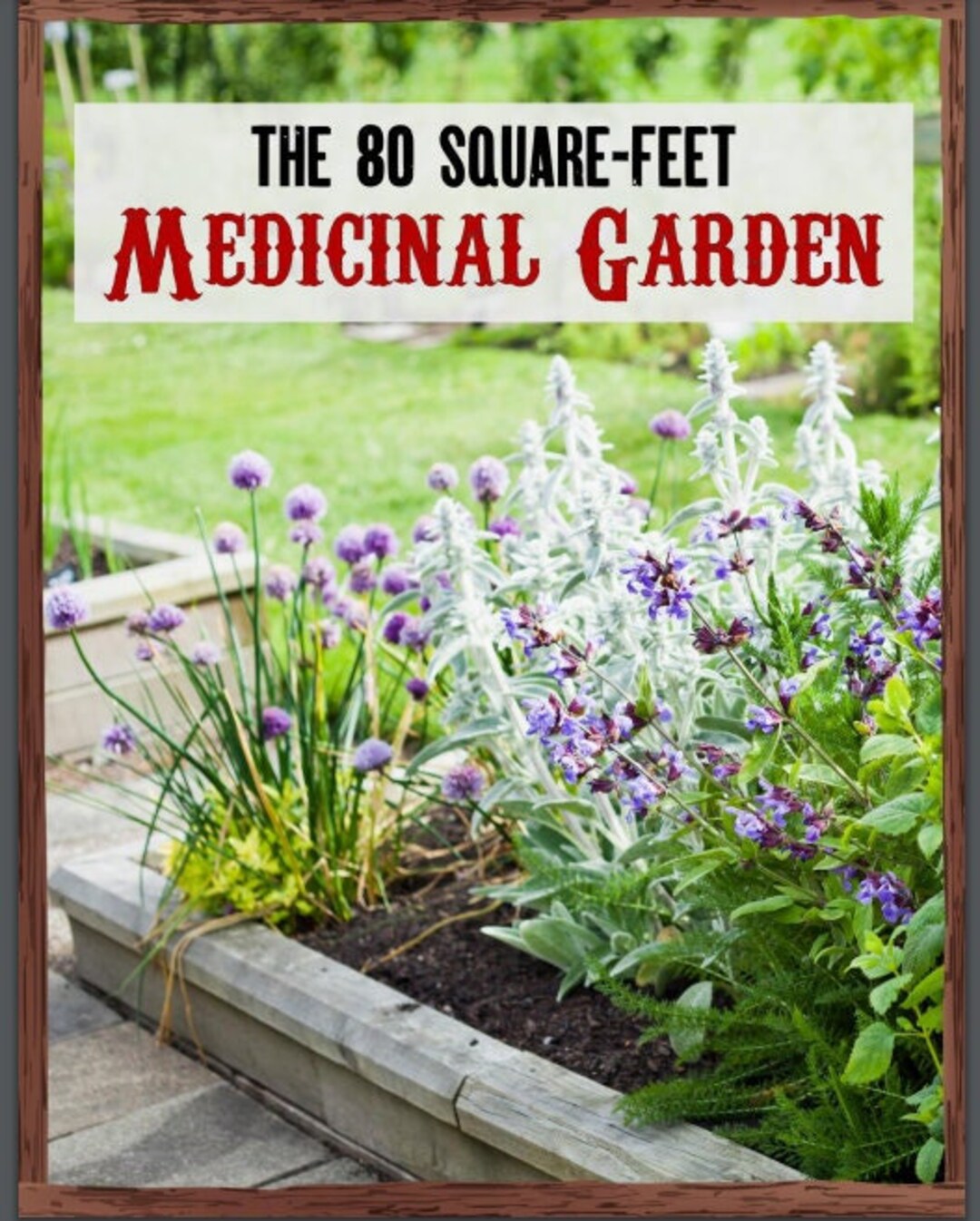 The 80 Square-feet Medicinal Garden - Etsy