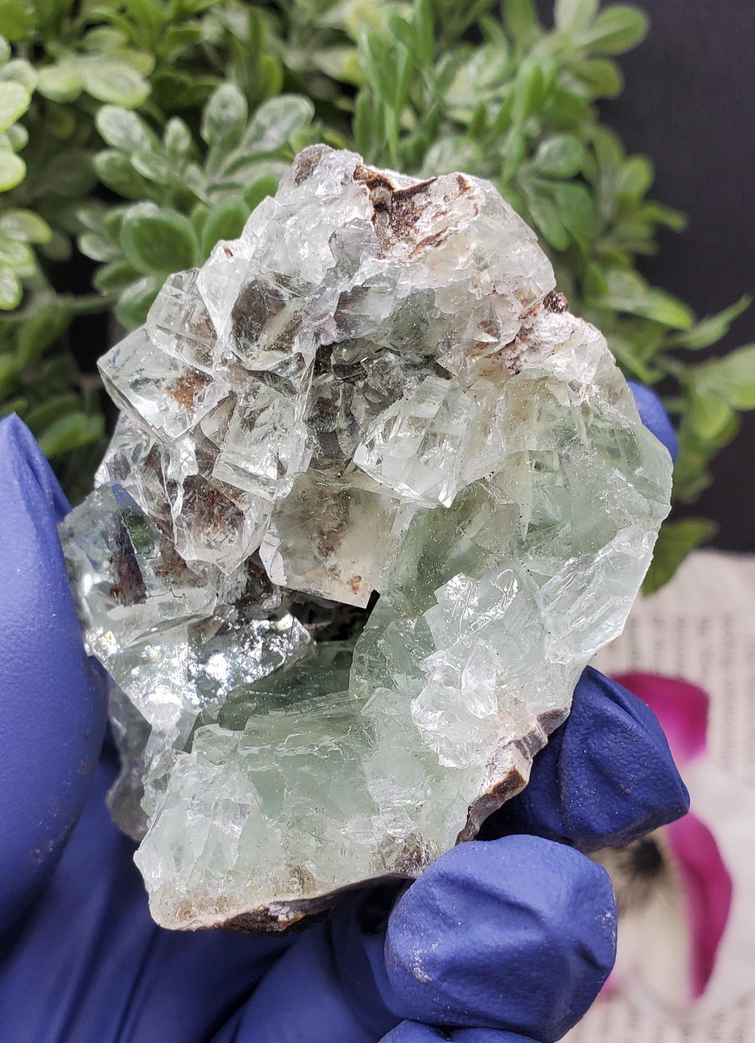 Xianghualing Fluorite (XHL) Cluster Specimen From Hunan 102g - Etsy