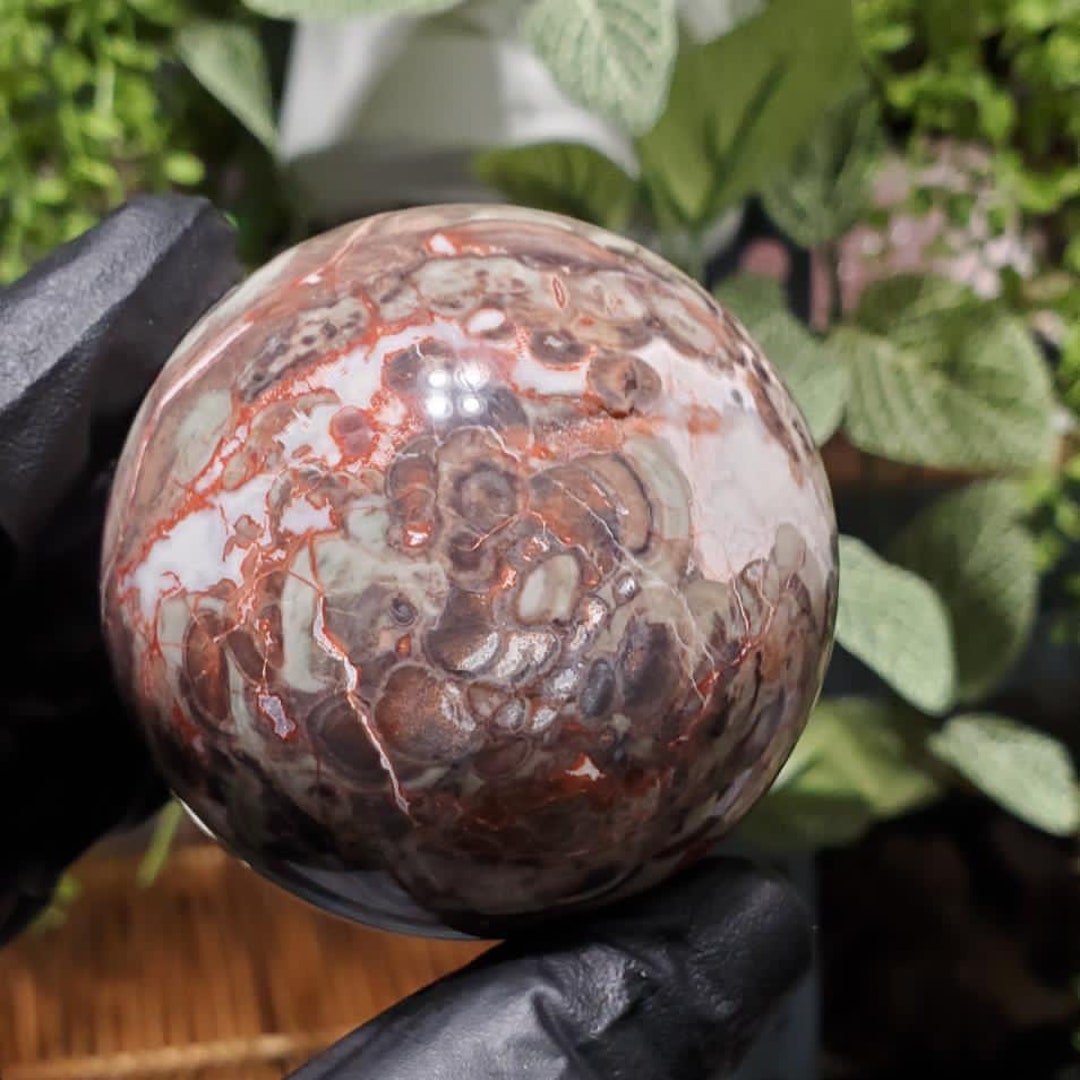 Money Agate Sphere 62.3mm 308g - Etsy