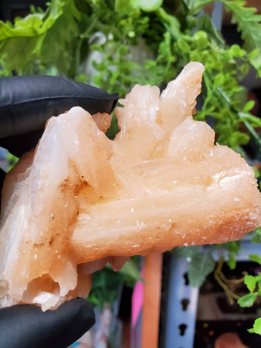 Peach Stilbite 172g India / Peach Stilbite Specimen Unique Cluster - Etsy