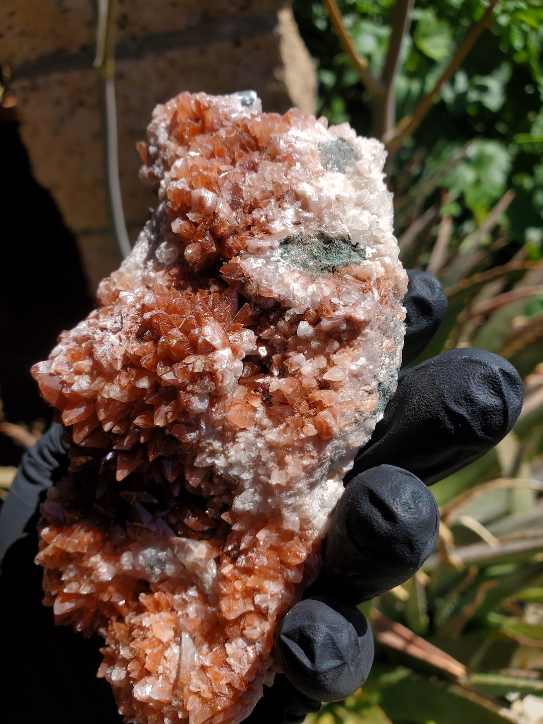 Natural Red Feather Calcite Cluster Mineral Specimen Hubei 446g - Etsy