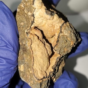 Ironstone Spherosiderite, a Sedimentary Rock Containing a Significant ...