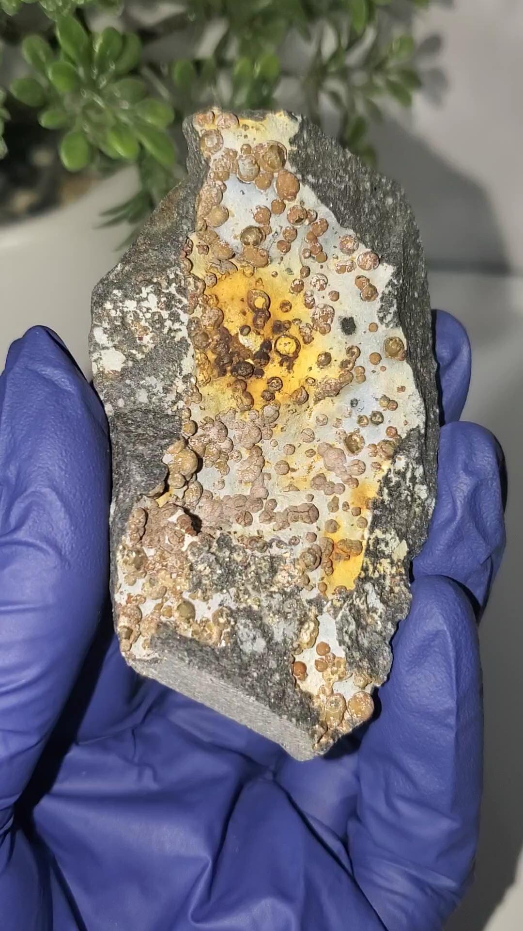 Phillipsite Spherical , Zeolite on Volcanic Rock 78g - Etsy