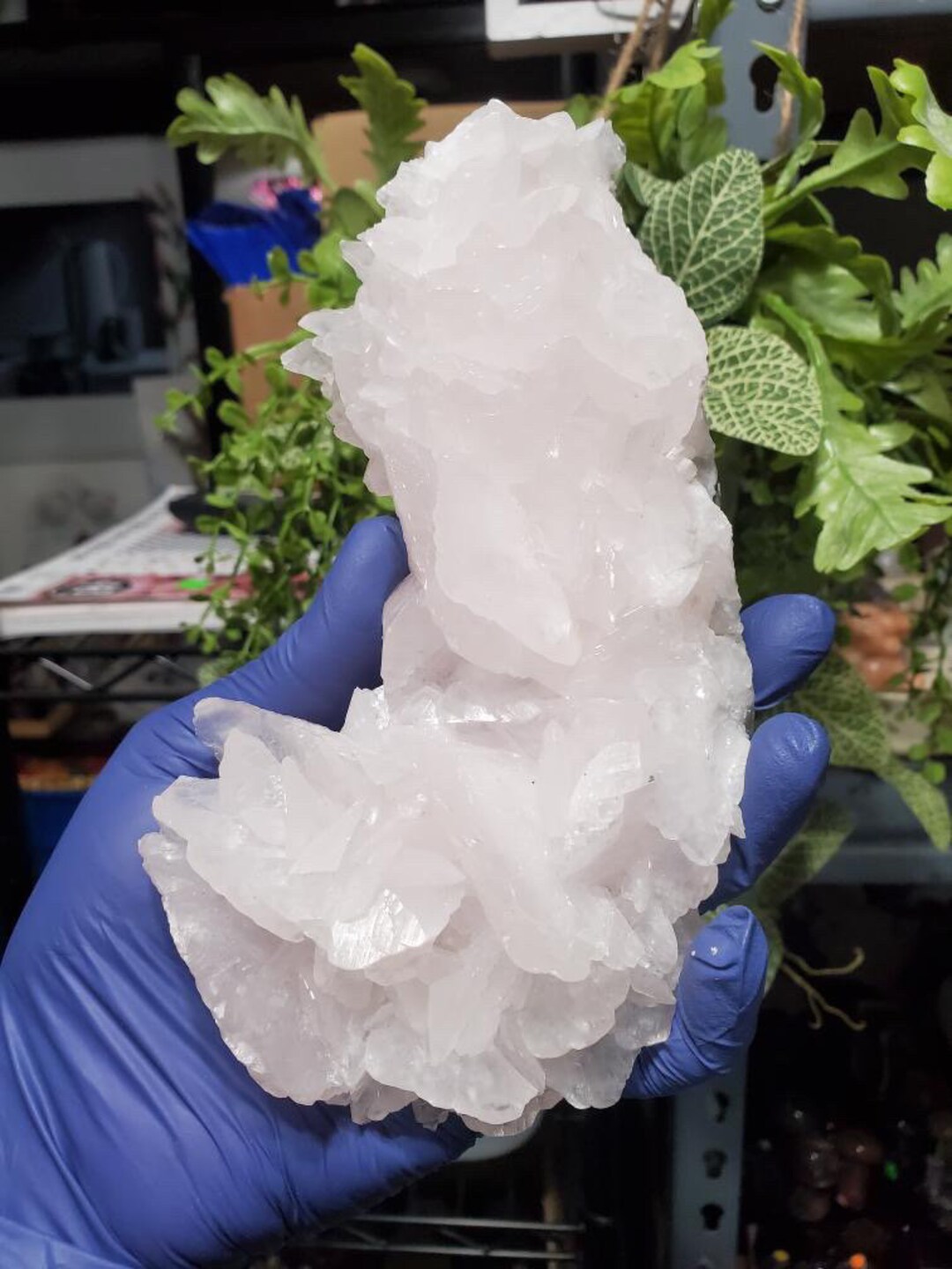 Pink Rose Calcite Cluster Specimen Gorgeous Cluster in a Shape of the ...