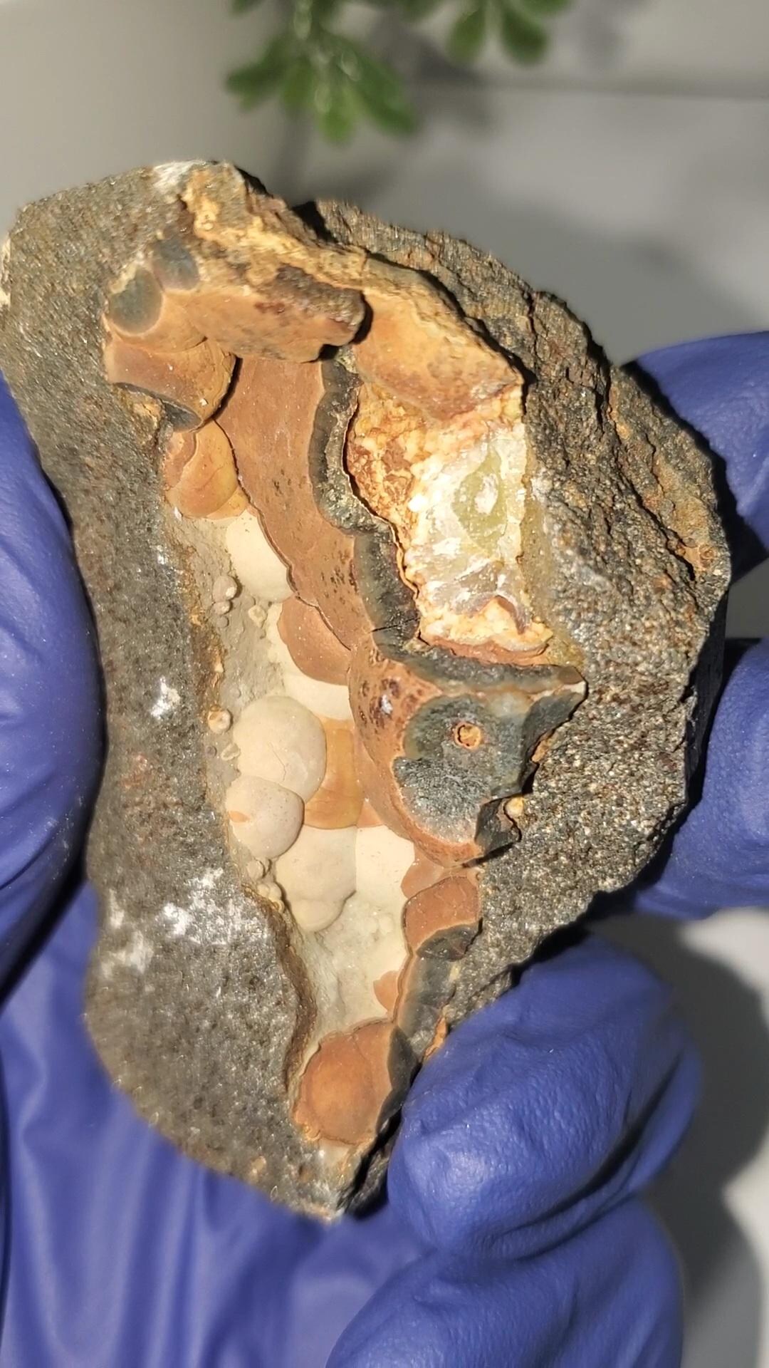 Chalcedony Agate Nodule , Botryoidal Geode 96g Raw Agate - Etsy