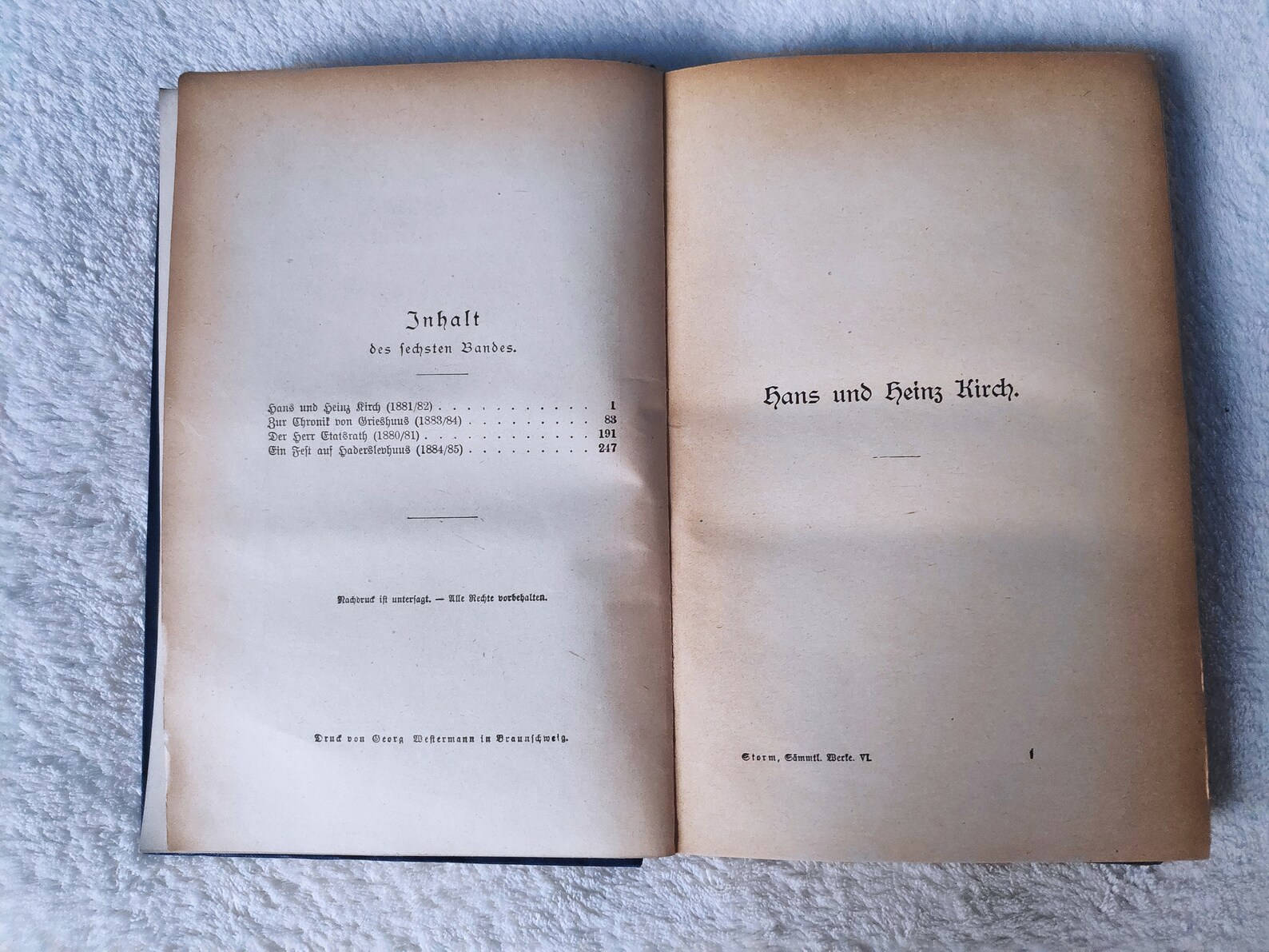 Schoolteacher Gift Antique Book of 1910s in German "theodor Storms ...