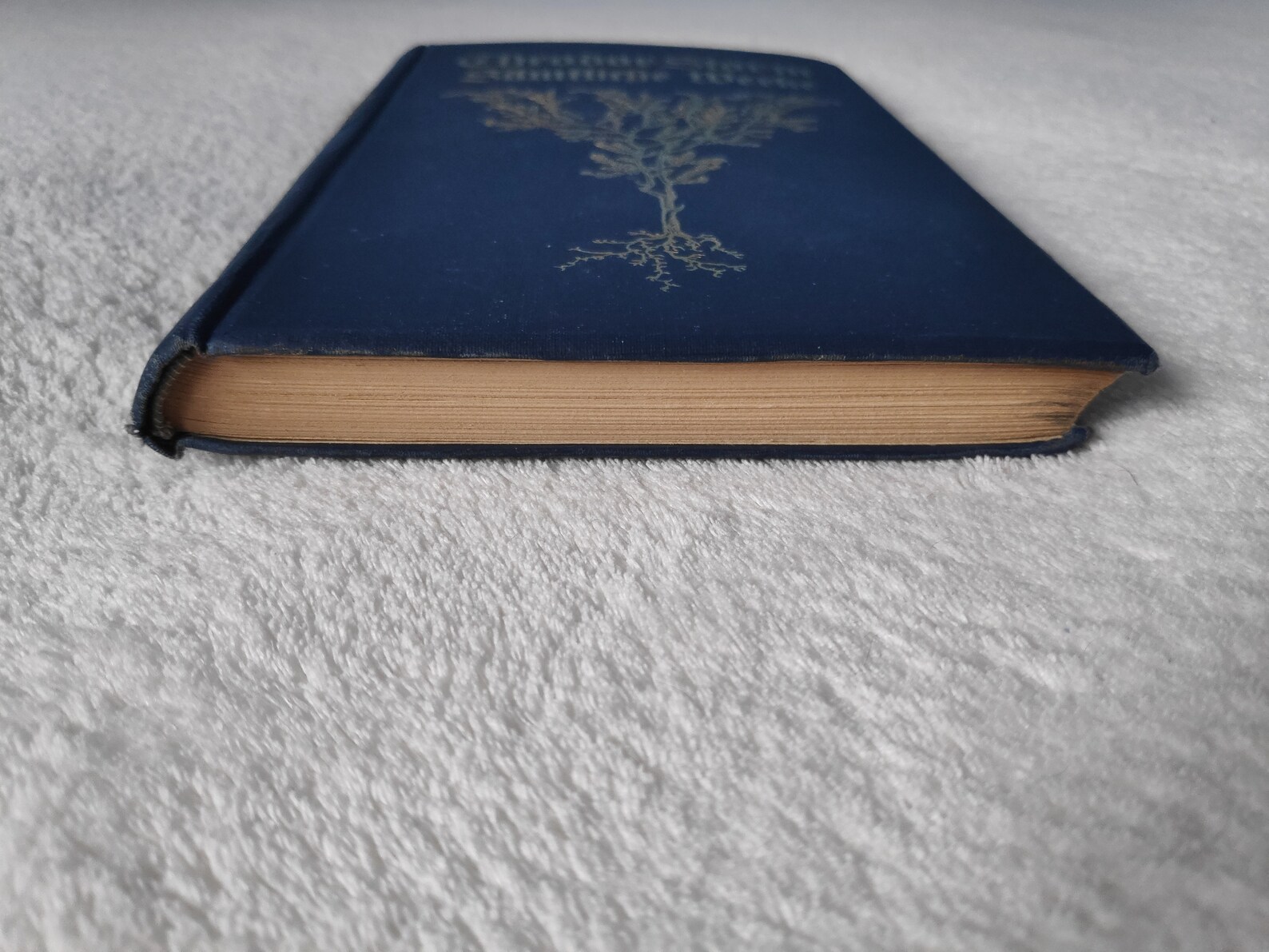 Schoolteacher Gift Antique Book of 1910s in German "theodor Storms ...