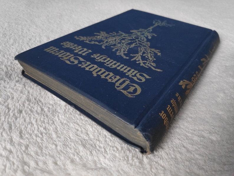 Schoolteacher Gift Antique Book of 1910s in German "theodor Storms ...