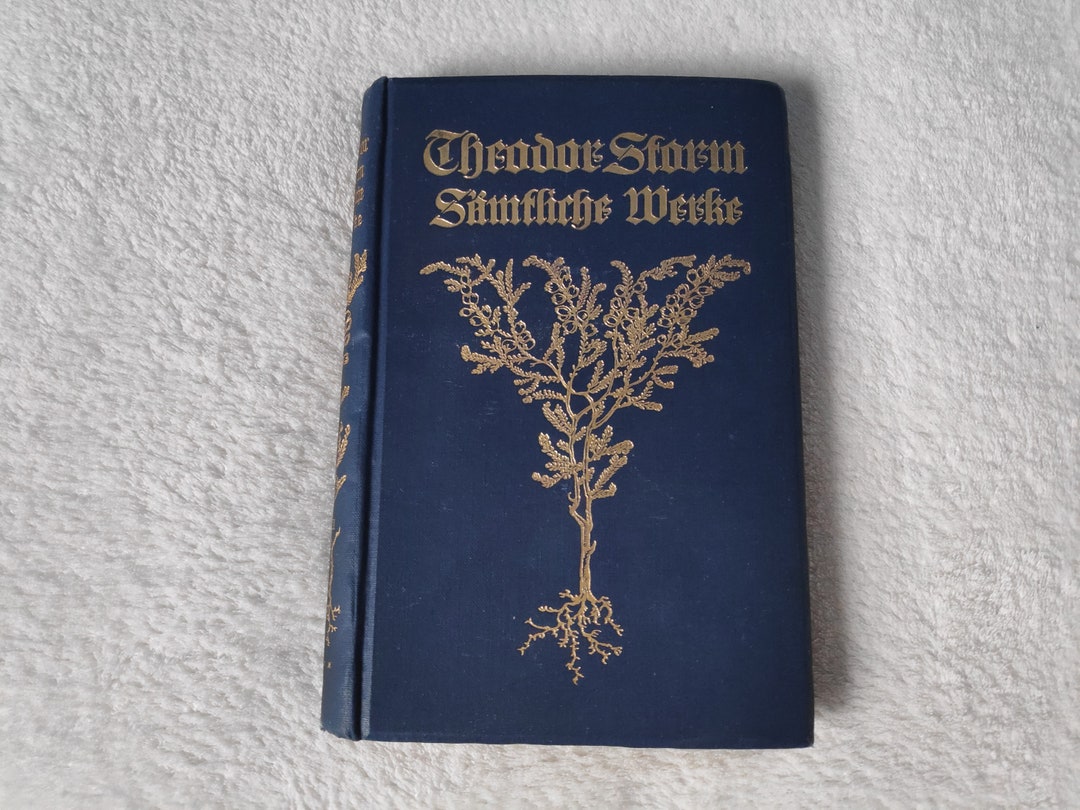 Schoolteacher Gift Antique Book of 1910s in German "theodor Storms ...
