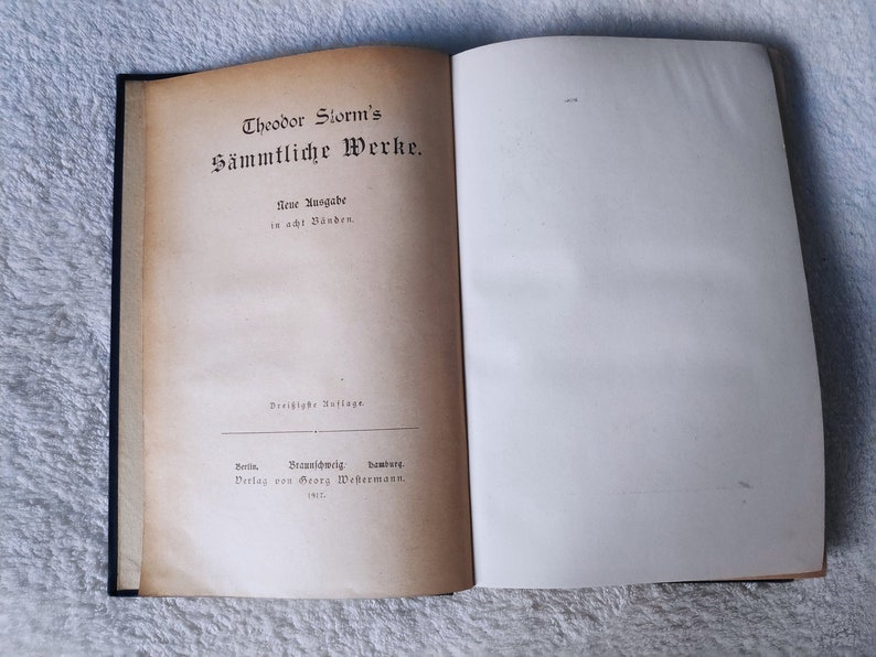 Schoolteacher Gift Antique Book of 1910s in German "theodor Storms ...