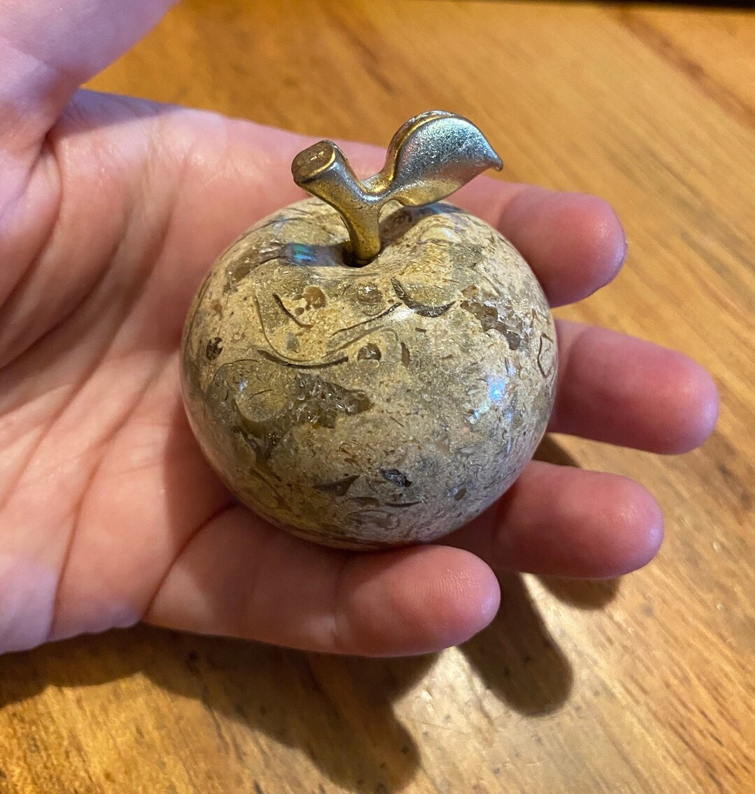 Cute FOSSIL CORAL APPLE, Tarot, Apple Crystal, Apples, Apple Ornament ...