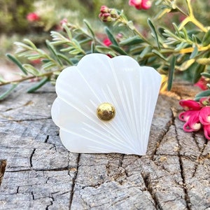 White Coastal Shell Knob, Little Girls Dresser Knob, Coastal Dresser ...