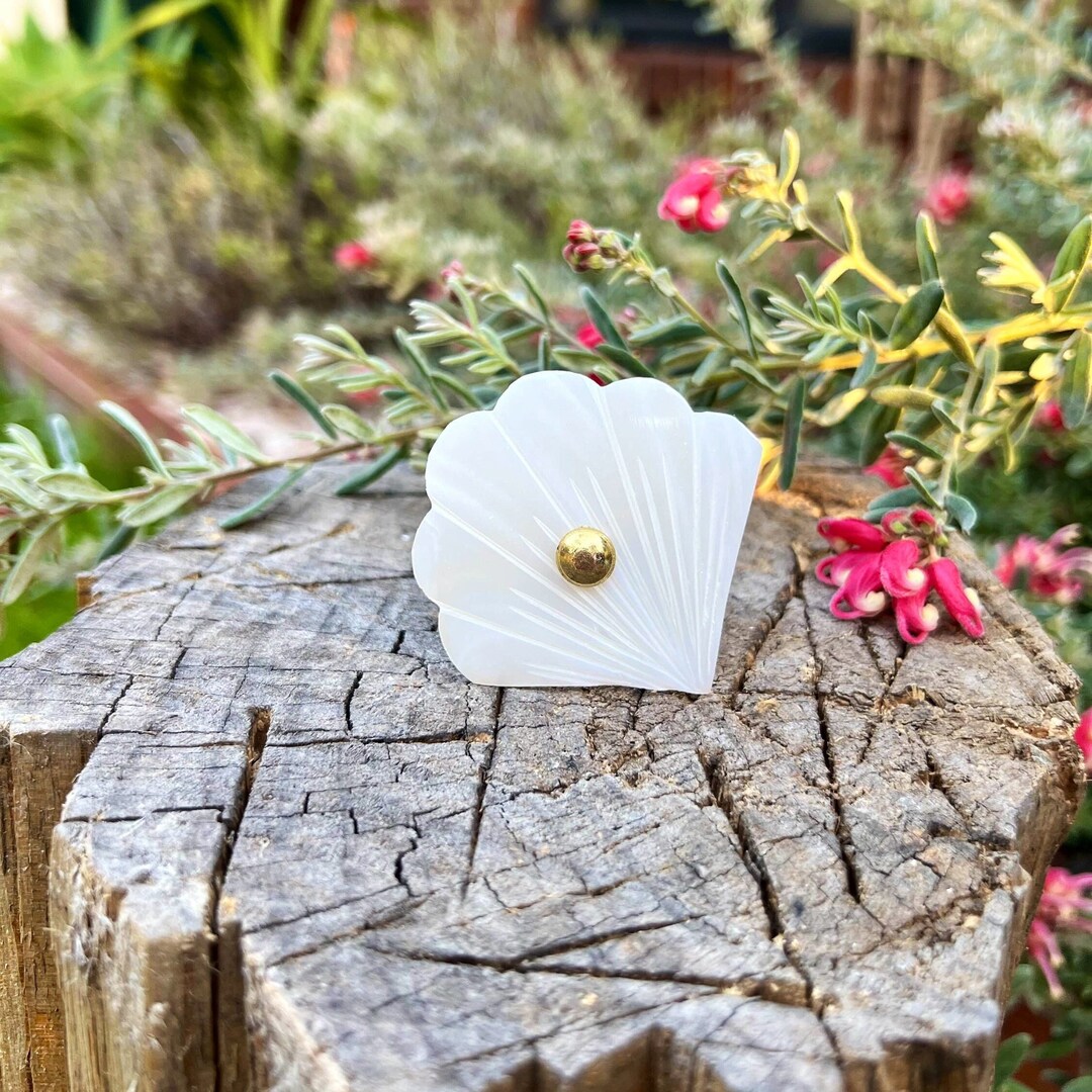 White Coastal Shell Knob, Little Girls Dresser Knob, Coastal Dresser Handle, Unique Shell ...