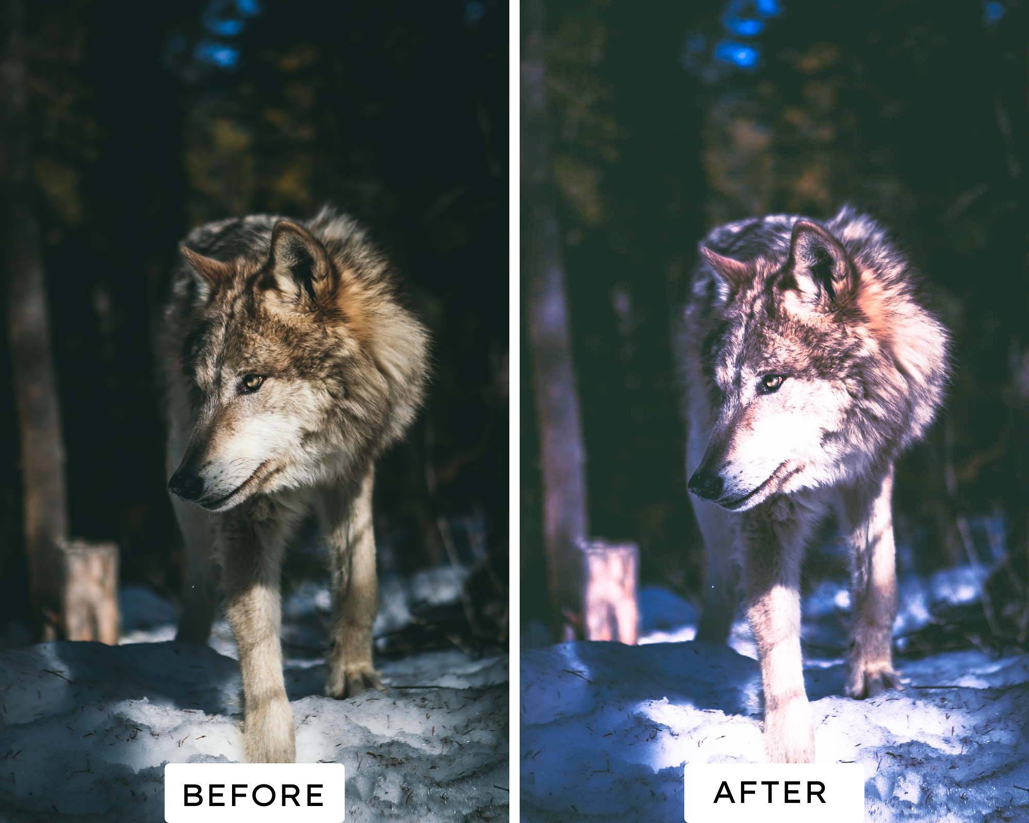 TWILIGHT PRESETS, WILDLIFE Presets, Twilight Filter, Dark Presets, 11 ...
