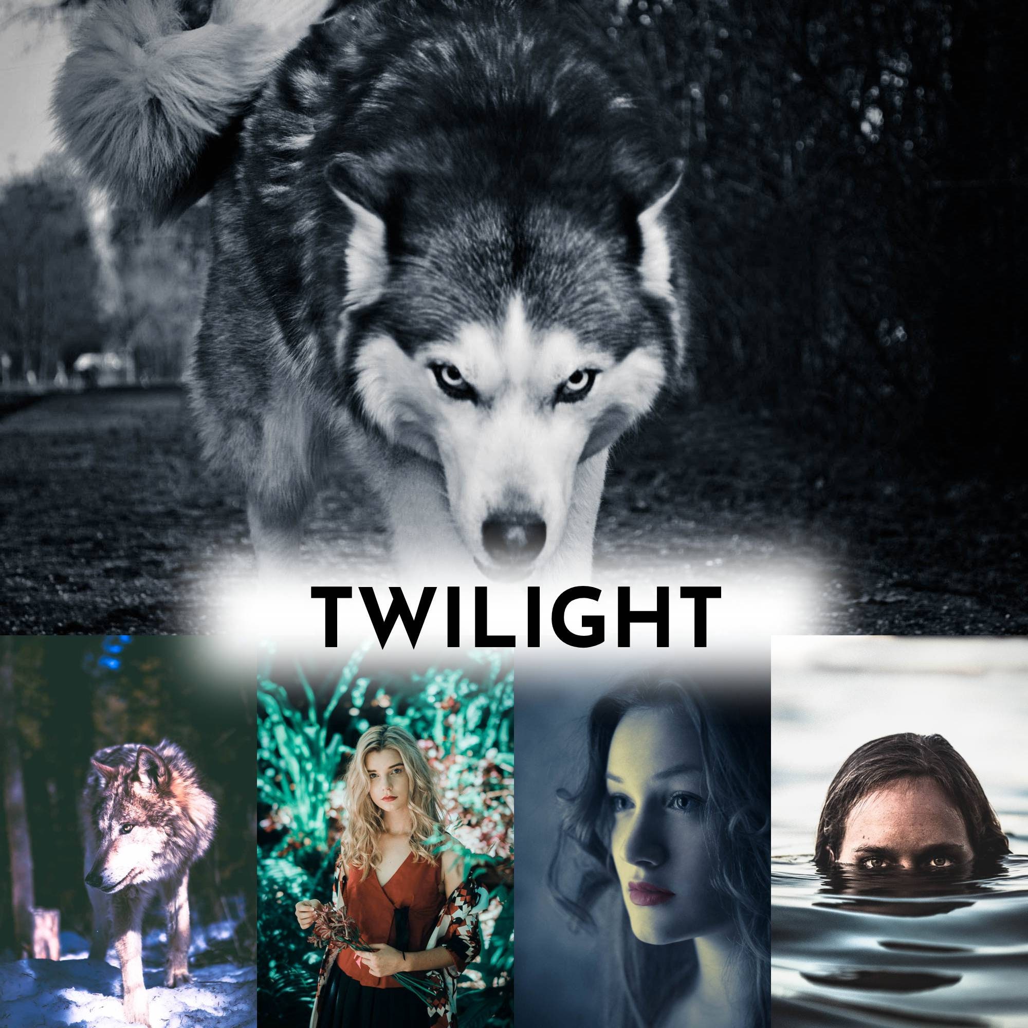 TWILIGHT PRESETS, WILDLIFE Presets, Twilight Filter, Dark Presets, 11 ...
