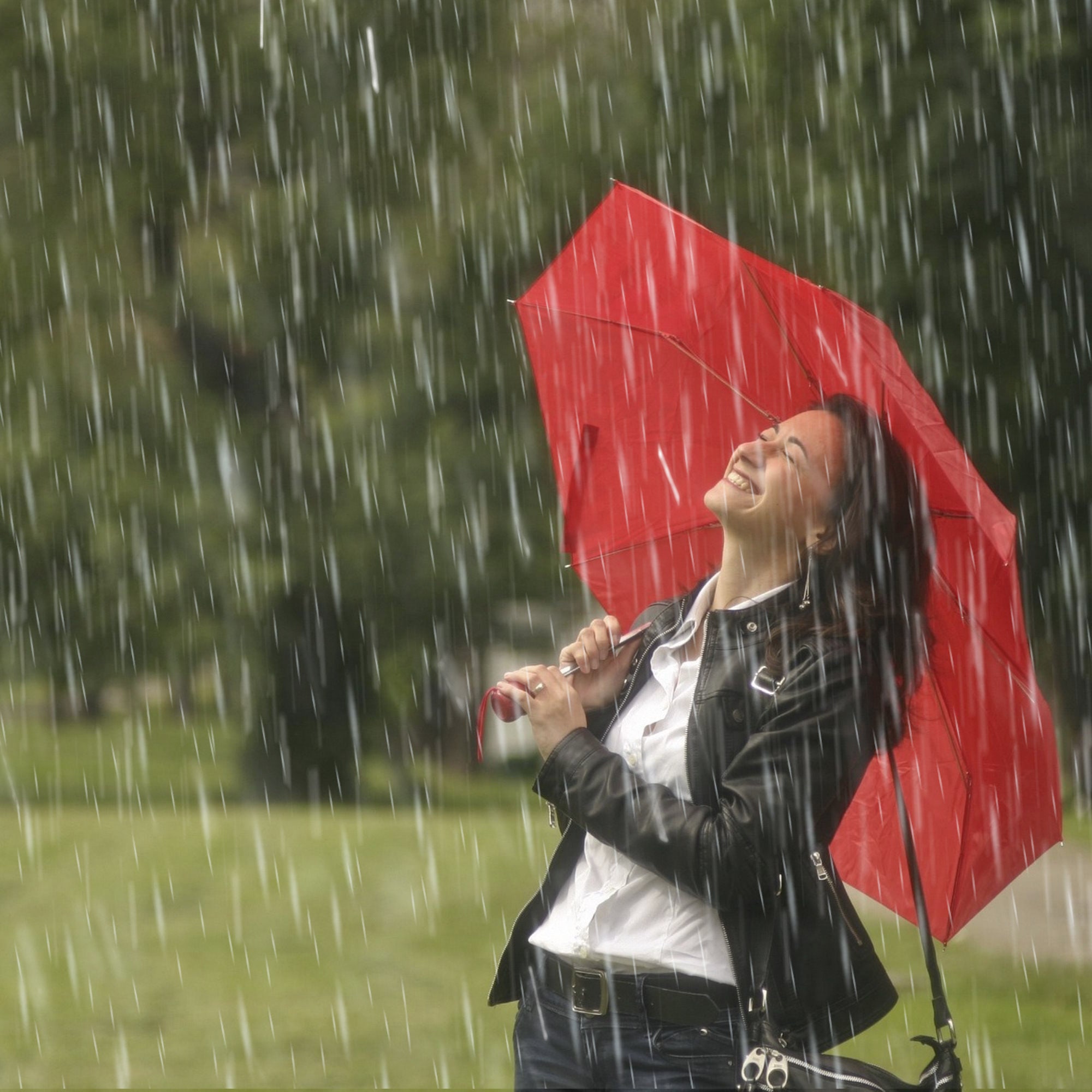 30 Realistic Rain Overlays, Rain Photoshop Overlays, Falling Rain ...