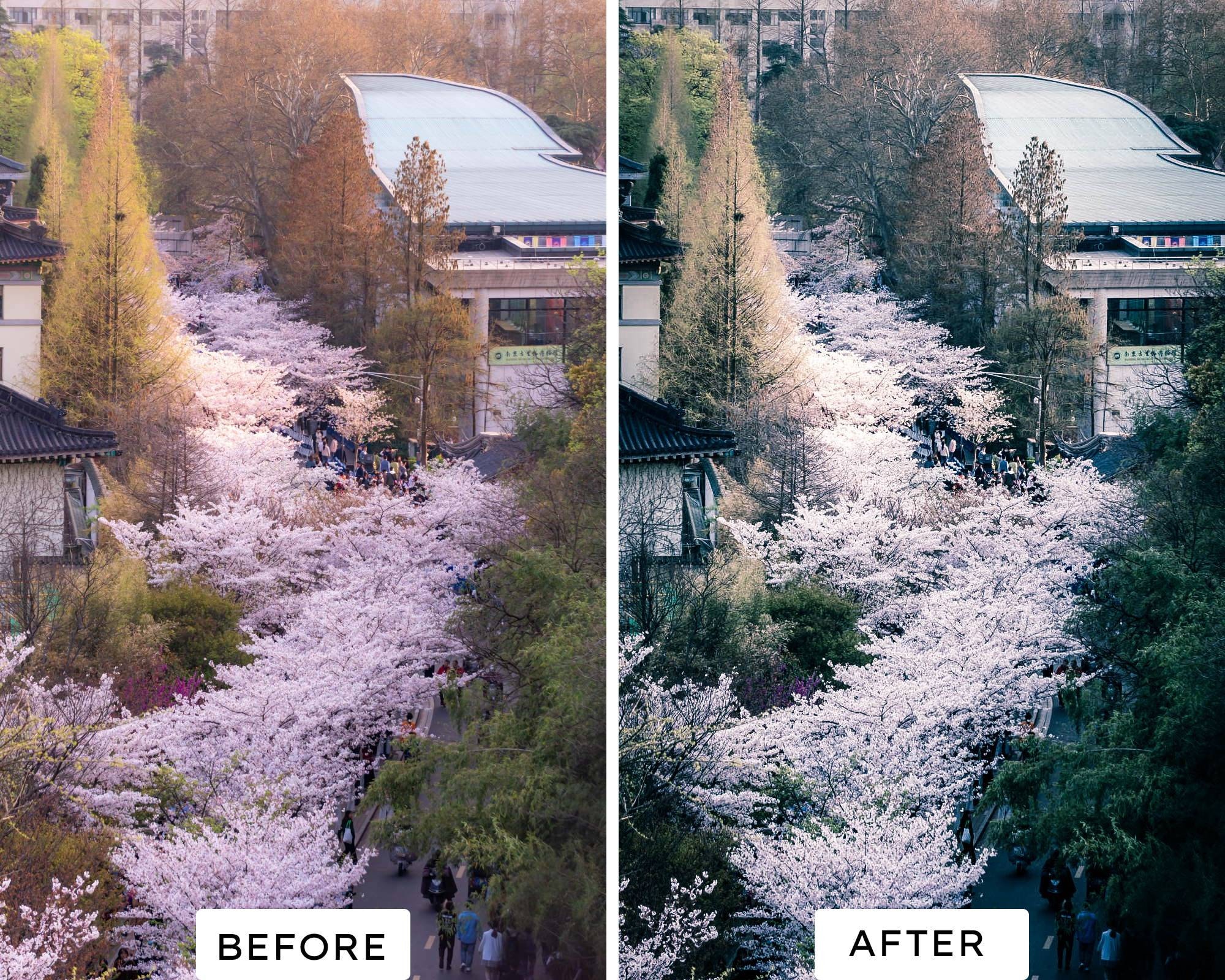 TWILIGHT PRESETS, WILDLIFE Presets, Twilight Filter, Dark Presets, 11 ...