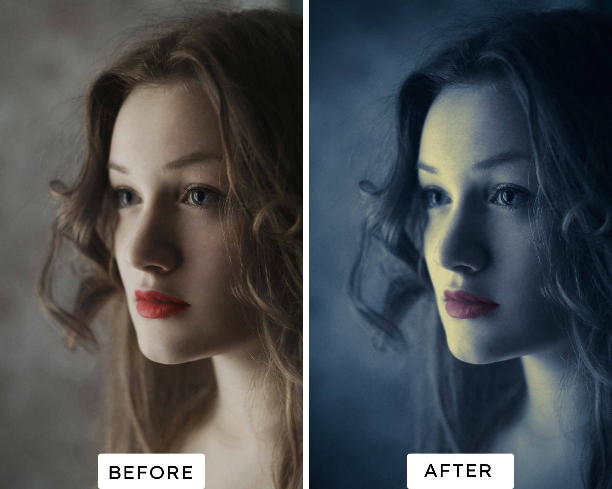 TWILIGHT PRESETS, WILDLIFE Presets, Twilight Filter, Dark Presets, 11 ...