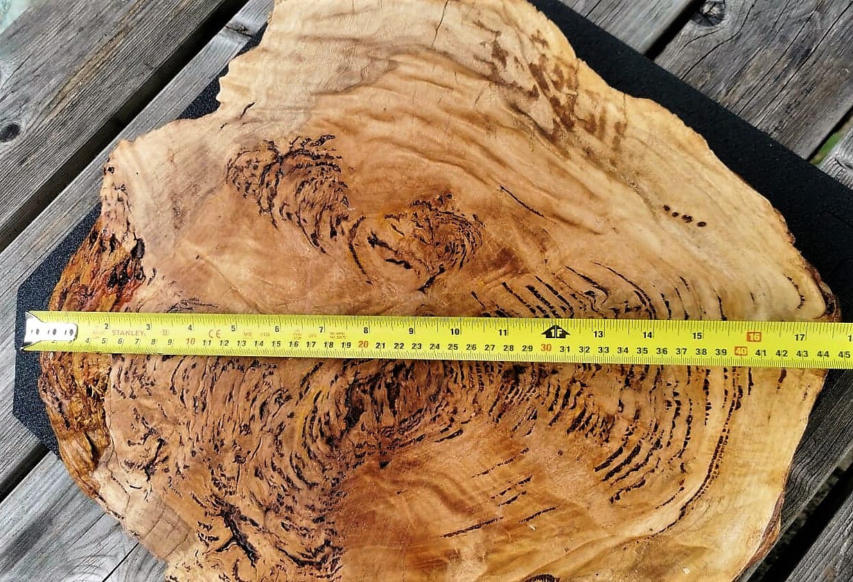 Oak Burl Tasmanian Old Wood Crafting Figured Wood Timber Turning MM922 ...