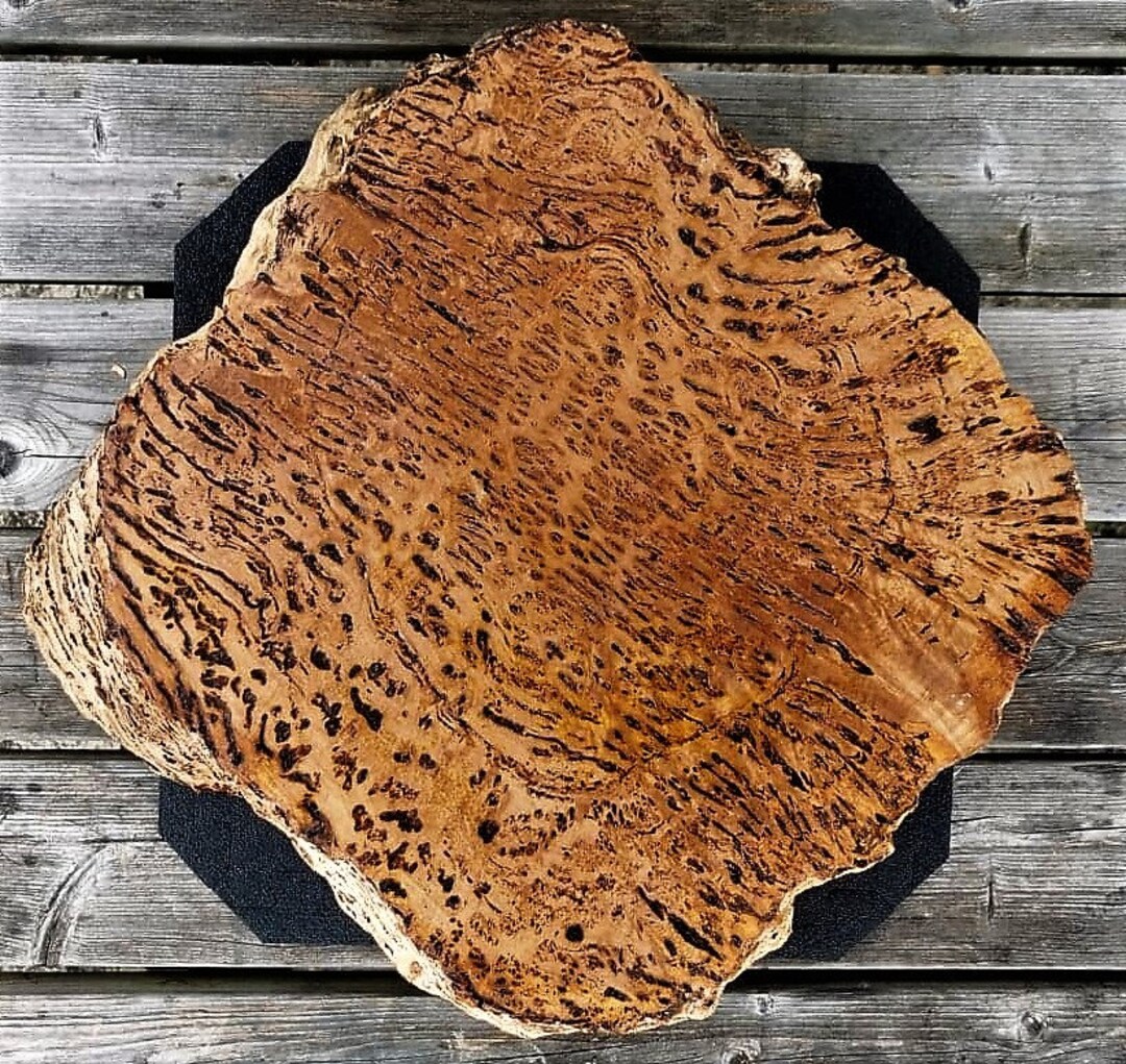 Oak Burl Tasmanian Old Wood Crafting Figured Wood Timber Turning MM763 ...