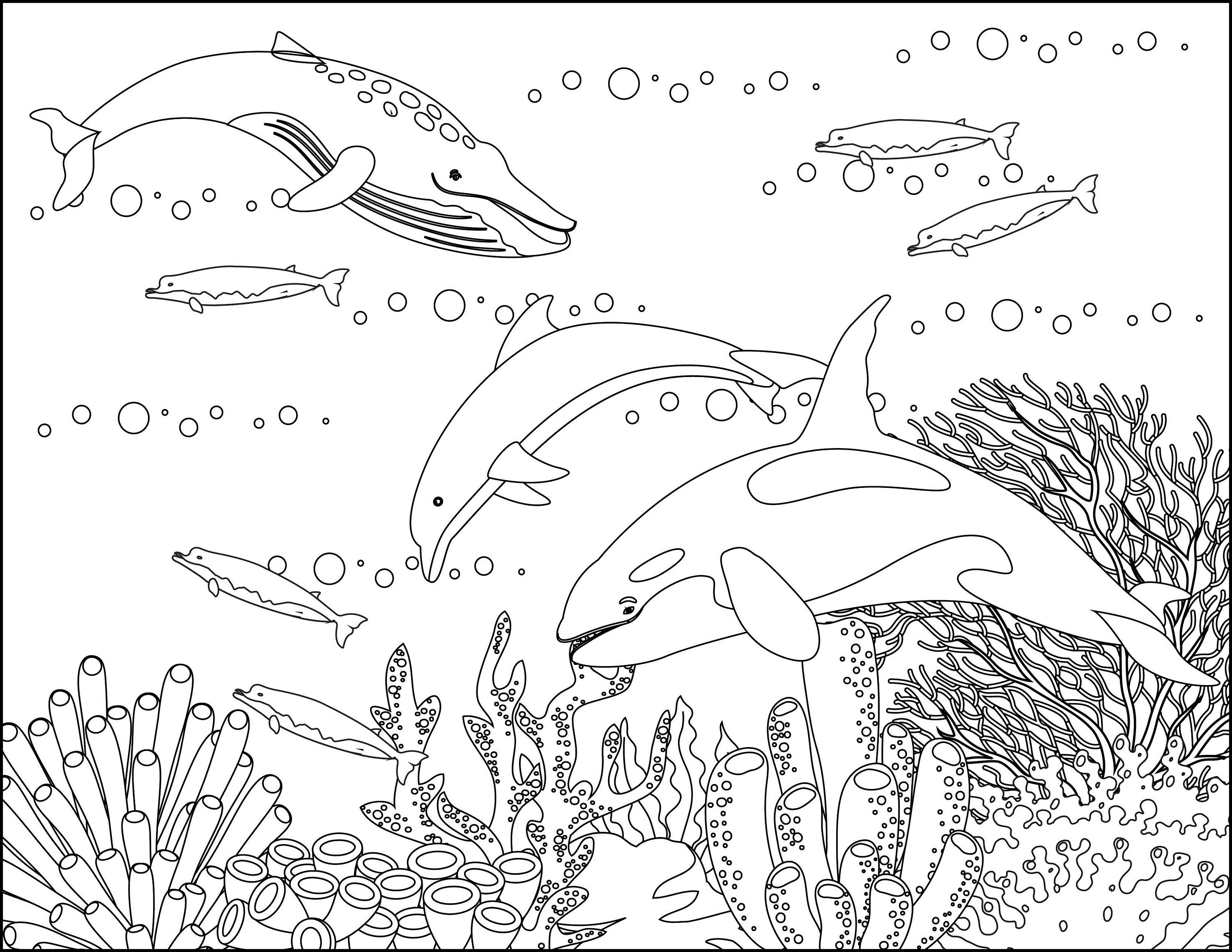 Printable Underwater Adventure Coloring Book: Featuring Beautiful Sea ...