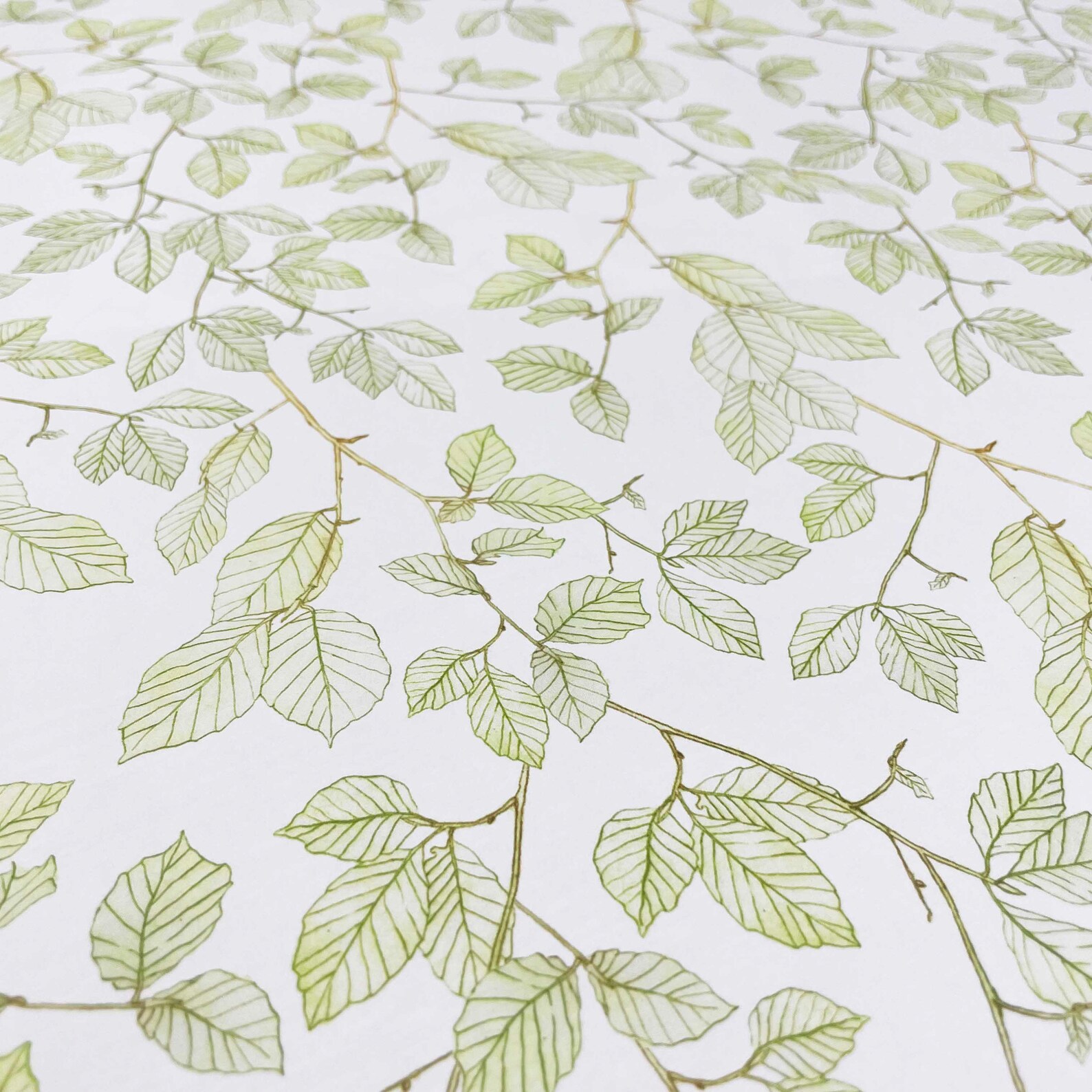 Leaf Wrapping Paper, Green Botanical Gift Wrapping Paper Large Sheets ...