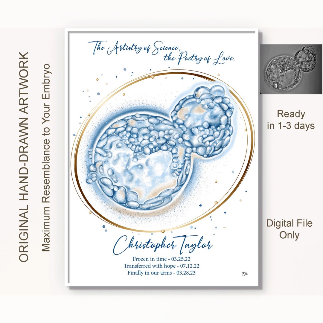 Custom IVF Embryo Art Pregnancy Gift Hatching IVF Embryo Painting ...